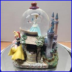 Disney A Dream Is A Wish Your Heart Makes Princess snow globe New in ...