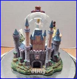Disney A Dream Is A Wish Your Heart Makes Princess snow globe New in ...